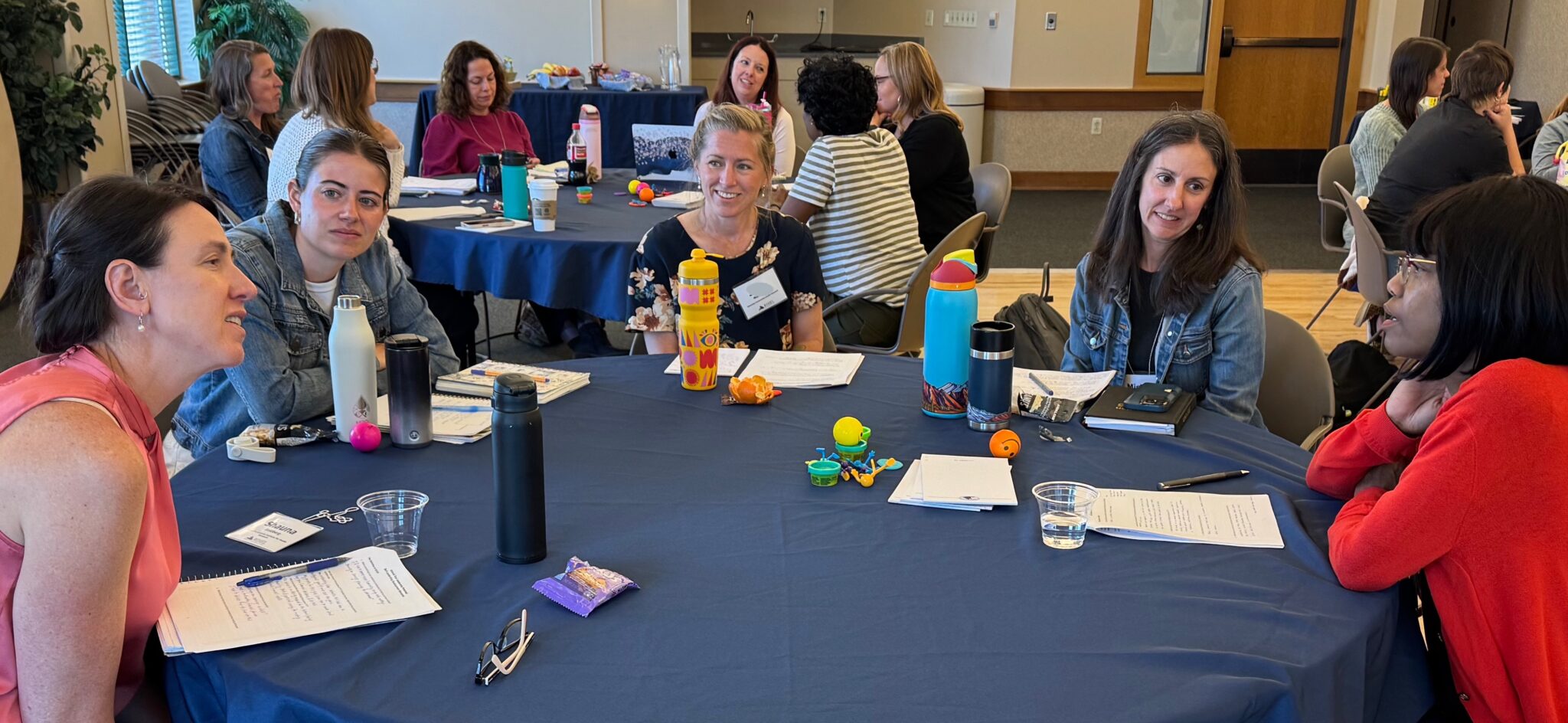 Self Leadership - RIHEL - Regional Institute for Health and ...